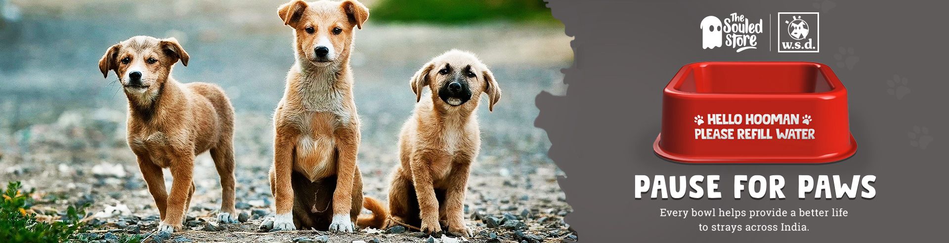 Online Shopping for Men & Women Clothing, Accessories at The Souled Store